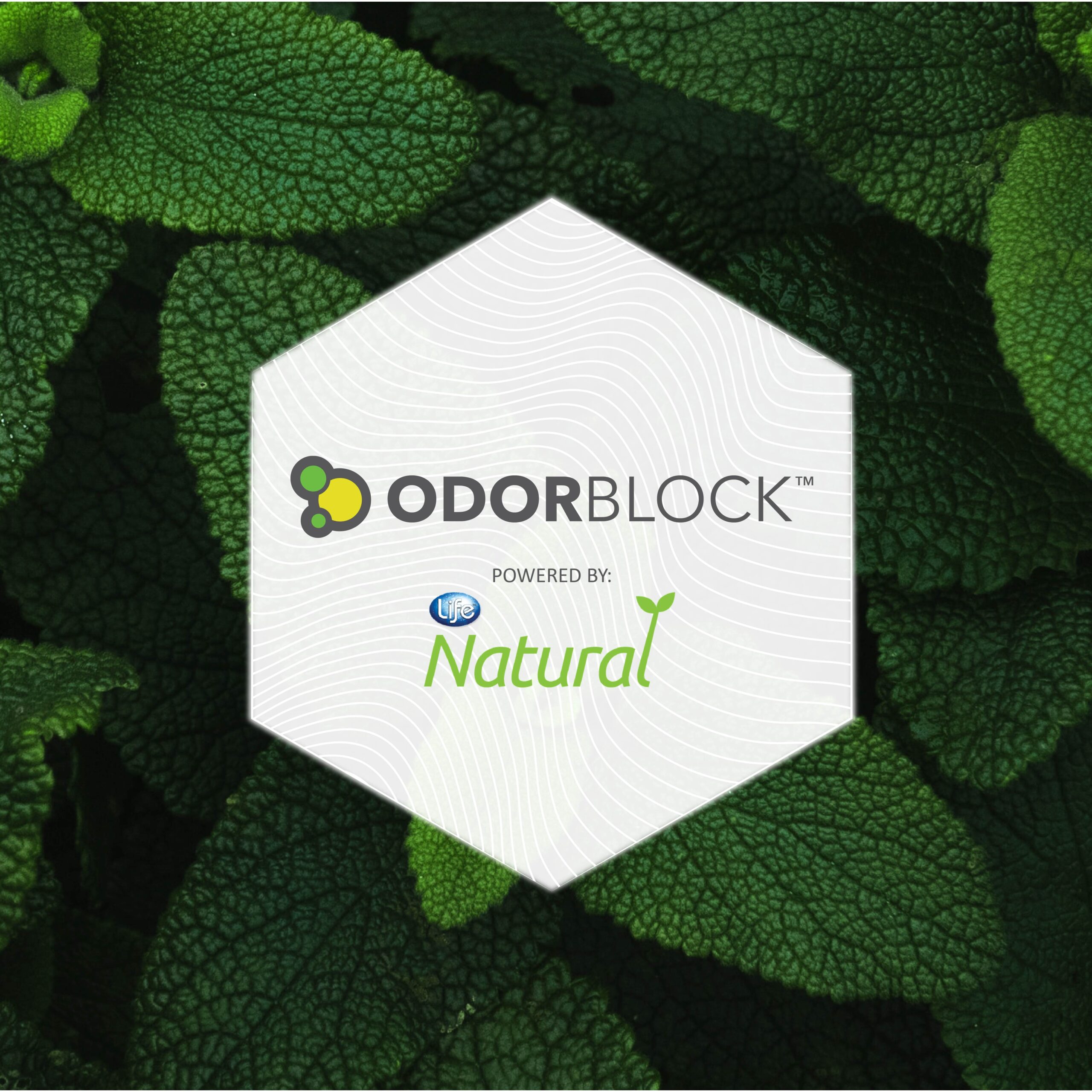 Burlington Offers New Bio-Based Odor Control Solution - Burlington